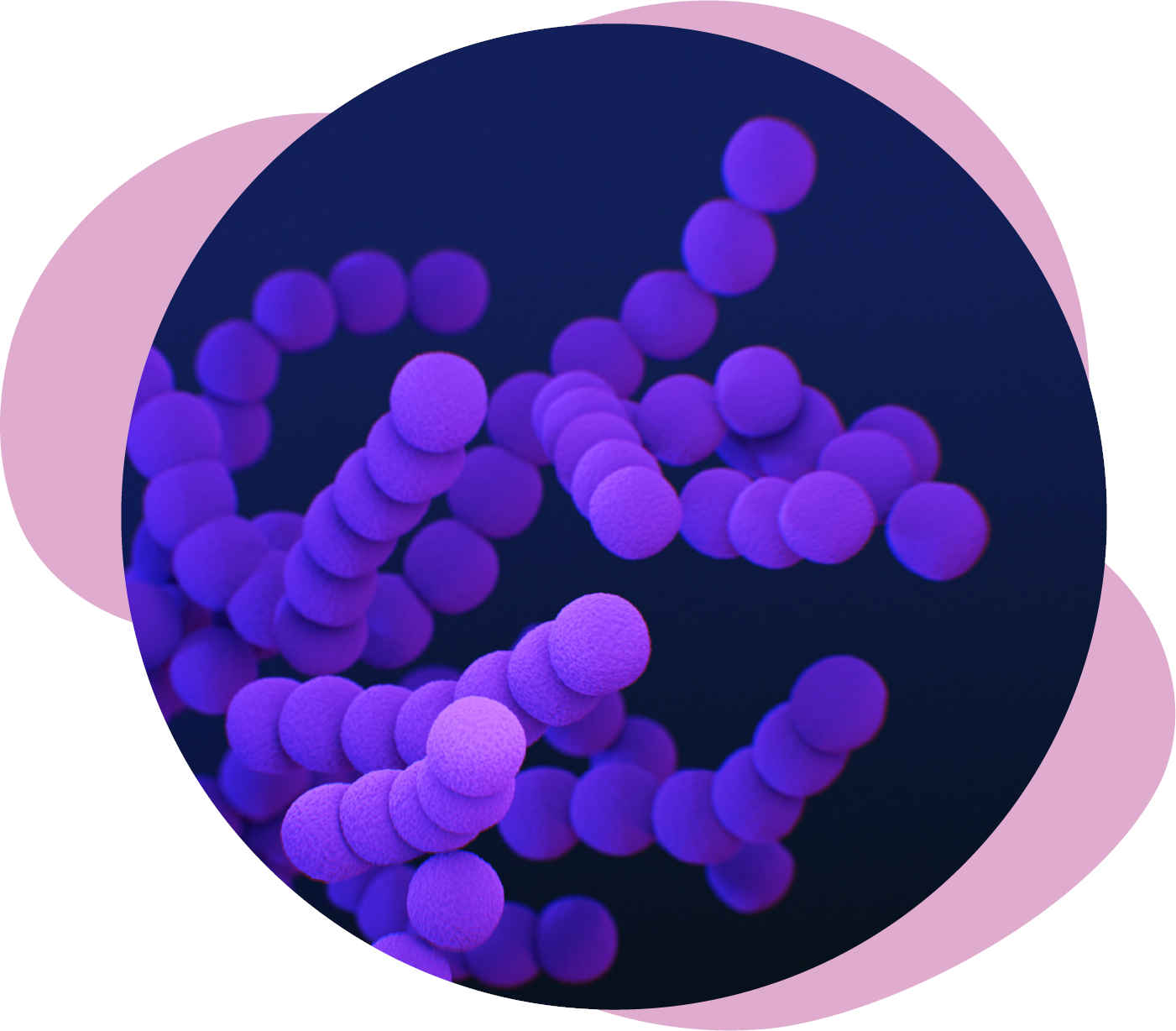 Science & Validation